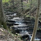 Waterfall Overlook via Riverside and Upland Trail Loop, New York ...