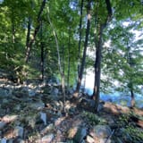 Splitrock Reservoir Trail, New Jersey - 600 Reviews, Map | AllTrails