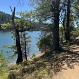 Jenkinson Lake Loop, California - 3,016 Reviews, Map | AllTrails