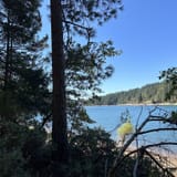 Jenkinson Lake Loop, California - 3,016 Reviews, Map | AllTrails