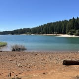 Jenkinson Lake Loop, California - 3,016 Reviews, Map | AllTrails
