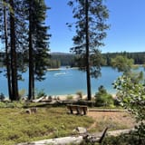 Jenkinson Lake Loop, California - 3,016 Reviews, Map | AllTrails
