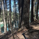 Jenkinson Lake Loop, California - 3,016 Reviews, Map | AllTrails