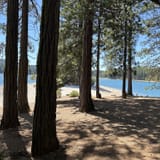 Jenkinson Lake Loop, California - 3,016 Reviews, Map | AllTrails