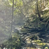 Fiery Gizzard Trail to Raven's Point, Tennessee - 1,141 Reviews, Map ...