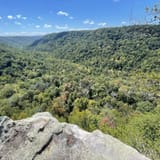 Fiery Gizzard Trail to Raven's Point, Tennessee - 1,141 Reviews, Map ...