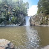Elk River Falls Trail, North Carolina - 728 Reviews, Map | AllTrails