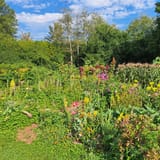 Puyallup Loop Trail, Washington - 1,414 Reviews, Map | AllTrails