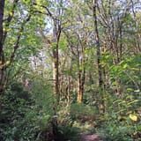 Puyallup Loop Trail, Washington - 1,414 Reviews, Map | AllTrails