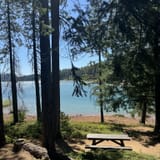 Jenkinson Lake Loop, California - 3,016 Reviews, Map | AllTrails