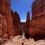Navajo Loop Trail, Utah - 4,998 Reviews, Map | AllTrails