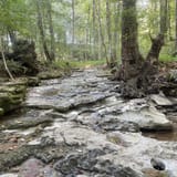 Winding Stairs Loop, Tennessee - 795 Reviews, Map | AllTrails