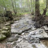 Winding Stairs Loop, Tennessee - 795 Reviews, Map | AllTrails