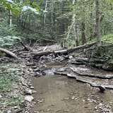 Winding Stairs Loop, Tennessee - 795 Reviews, Map | AllTrails