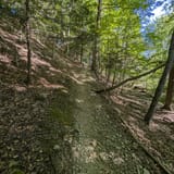 Sprague Brook Park Trail, New York - 1,450 Reviews, Map | AllTrails