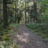 Sprague Brook Park Trail, New York - 1,450 Reviews, Map | AllTrails