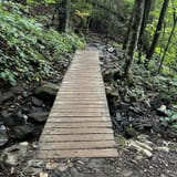 Crabtree Falls Trail, North Carolina - 4,807 Reviews, Map | AllTrails