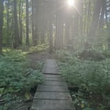 Sprague Brook Park Trail, New York - 1,461 Reviews, Map | AllTrails