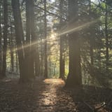 Sprague Brook Park Trail, New York - 1,461 Reviews, Map | AllTrails