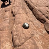 Butterfly, Lava Flow Overlook, West Canyon, and Petrified Dunes Loop ...