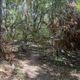 Patton Cave via Grubb Ridge and Hayes Trail, Indiana - 732 Reviews, Map ...