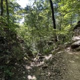 Patton Cave via Grubb Ridge and Hayes Trail, Indiana - 766 Reviews, Map ...