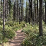 Stanton Lake, Montana - 1,129 Reviews, Map | AllTrails