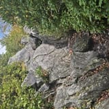 Mount Cammerer via Low Gap Trail [CLOSED], Tennessee - 2,186 Reviews ...