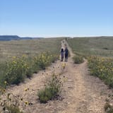 Ute Valley Park Loop Trail, Colorado - 2,804 Reviews, Map | AllTrails