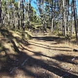 Huckleberry Hill Loop, California - 884 Reviews, Map | AllTrails