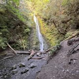 Madison Falls Trail, Washington - 2,118 Reviews, Map | AllTrails