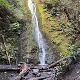 Madison Falls Trail, Washington - 2,127 Reviews, Map | AllTrails