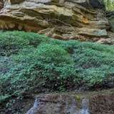 6 Ravine Challenge, Indiana - 1,163 Reviews, Map | AllTrails