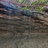 6 Ravine Challenge, Indiana - 1,163 Reviews, Map | AllTrails