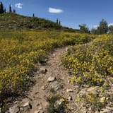 Wasatch Crest Trail, Utah - 363 Reviews, Map | AllTrails