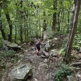 Burroughs Range Trail (Wittenberg, Cornell, Slide Trail), New York ...