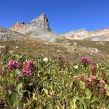 Ice Lake Basin, Colorado - 1,119 Reviews, Map | AllTrails