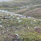 Handies Peak via American Basin Trail, Colorado - 1,228 Reviews, Map ...