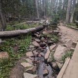 Mitchell Lake Trail, Colorado - 629 Reviews, Map | AllTrails