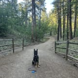 Mars Hill Trail Loop, Arizona - 2,030 Reviews, Map | AllTrails
