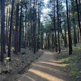 Mars Hill Trail Loop, Arizona - 2,030 Reviews, Map | AllTrails