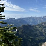 Mount Ellinor Trail, Washington - 2,958 Reviews, Map | AllTrails