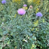 Point Ann Trail, Iowa - 71 Reviews, Map | AllTrails