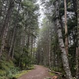 Ira Spring Memorial Trail, Washington - 2,437 Reviews, Map | AllTrails