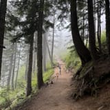 Ira Spring Memorial Trail, Washington - 2,440 Reviews, Map | AllTrails
