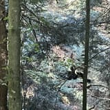 Covered Bridge and Lyons Falls via Pleasant Hill and Lyons Falls Loop ...