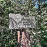 Beaver Brook Trail to Mount Moosilauke, New Hampshire - 1,401 Reviews ...