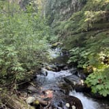 Fish Lake, Montana - 599 Reviews, Map | AllTrails