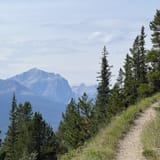 Castle Mountain Lookout Trail, Alberta, Canada - 2,225 Reviews, Map ...