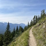 Castle Mountain Lookout Trail, Alberta, Canada - 2,227 Reviews, Map ...